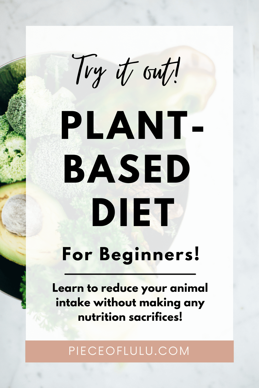 A Plant-Based Diet For Beginners - The Michigan Dietitian