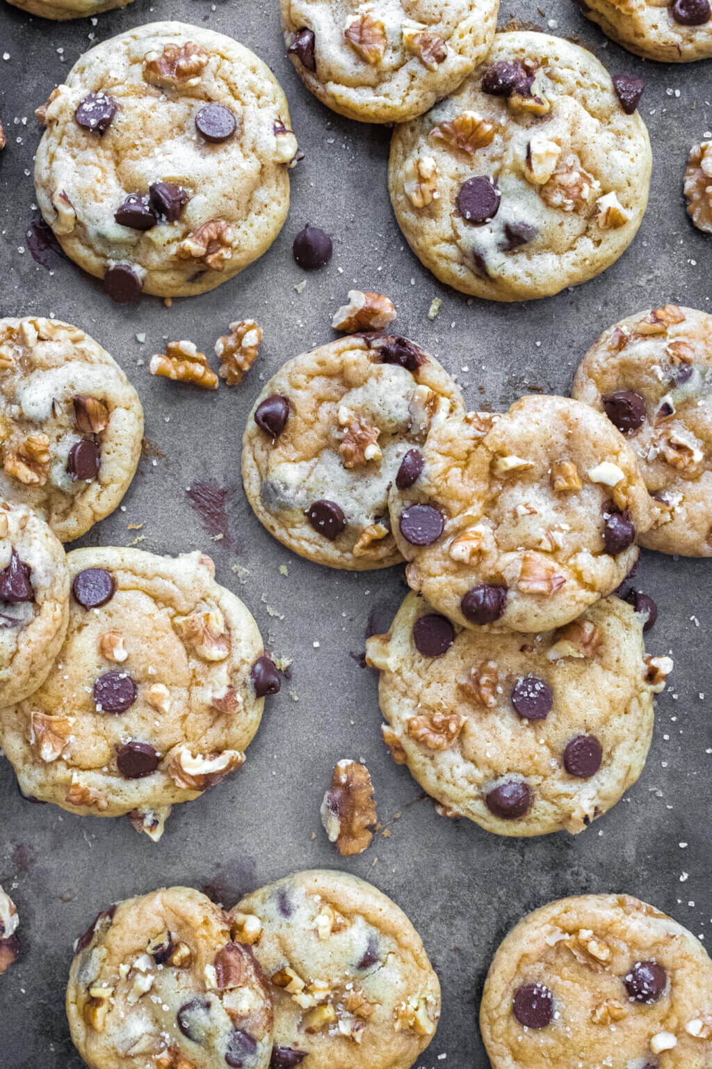 Chewy Chocolate Chip Walnut Cookies - The Michigan Dietitian