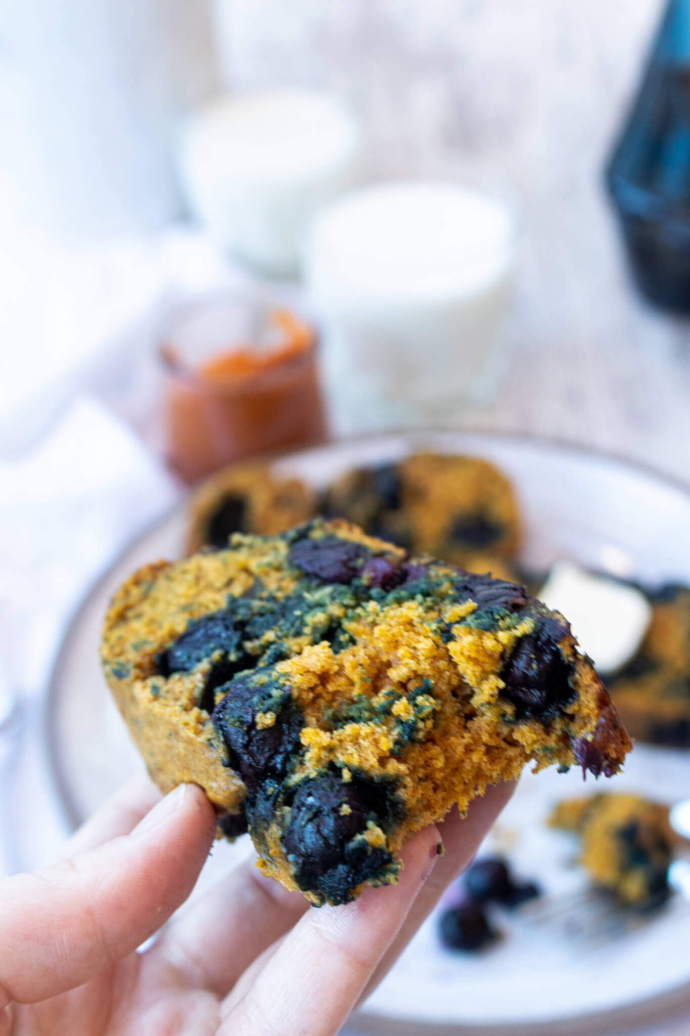 Easy Blueberry Pumpkin Bread - The Michigan Dietitian